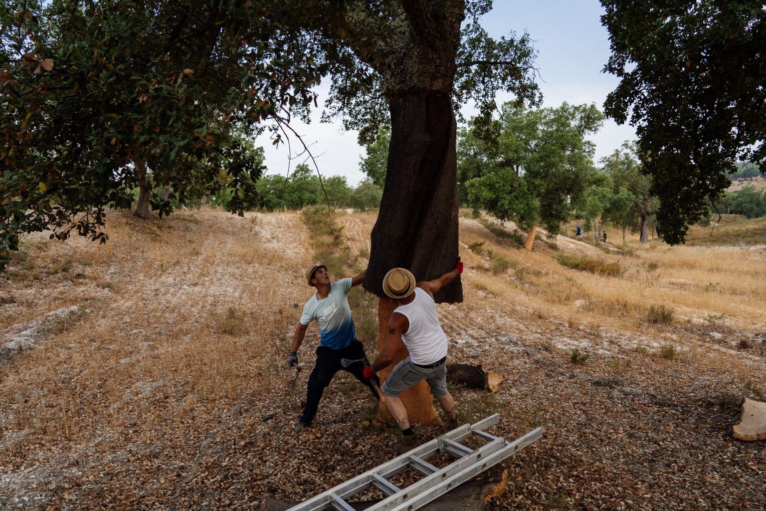 O que fazer em Coruche (guia prático) - Rostos da Aldeia
