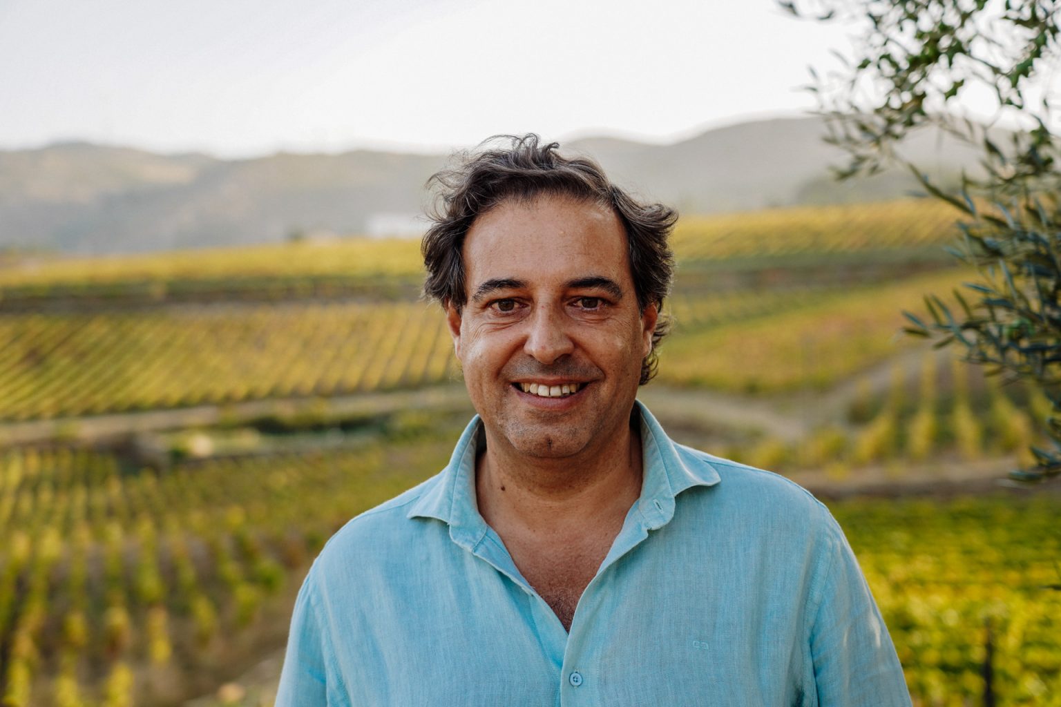 Bernardo Nápoles, o viticultor velejador - Rostos da Aldeia